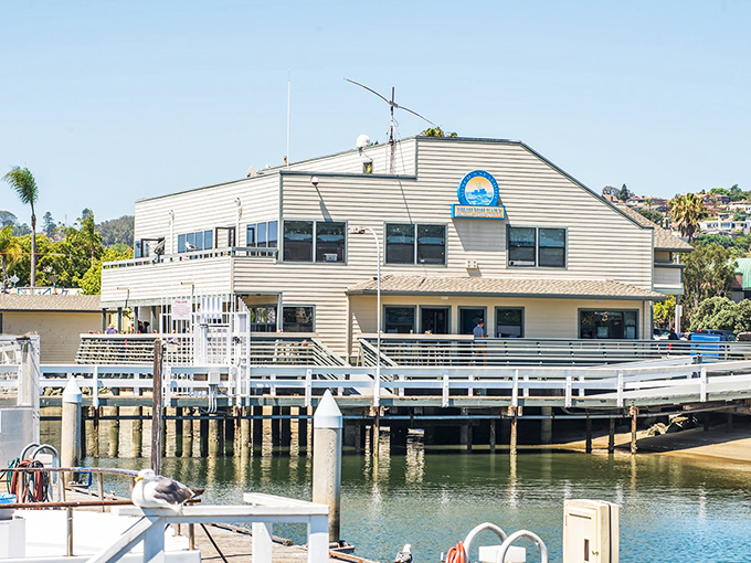 Mitch's Seafood: Where seagulls eye your lunch with envy and boats bob gently beside your table. Fresh seafood never had a better view!