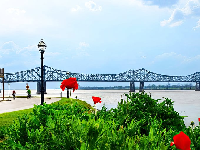 Red poppies frame the Mississippi River like nature's own welcome mat, with that steel bridge reminding you why postcards were invented.