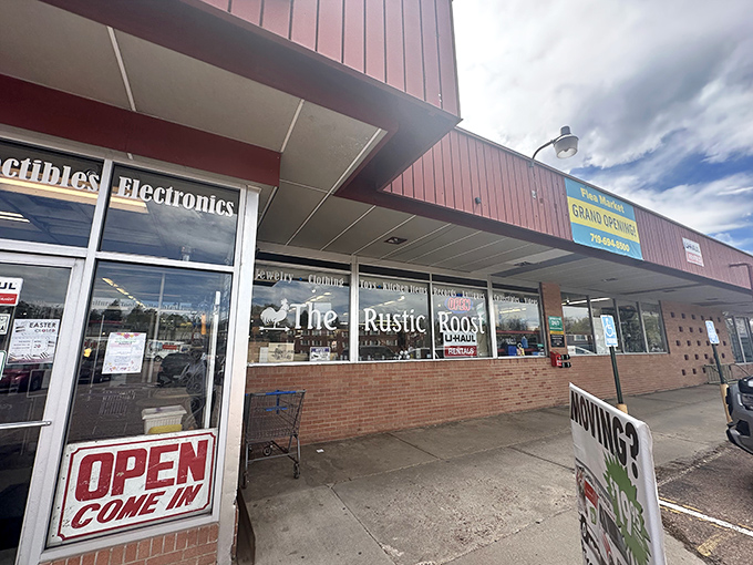 Step inside, where treasures hide behind every corner, waiting for the perfect treasure hunter to discover them.