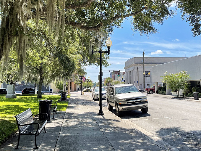 Downtown Palatka's oak-lined streets whisper stories of old Florida. Spanish moss drapes these giants like nature's own decorations.