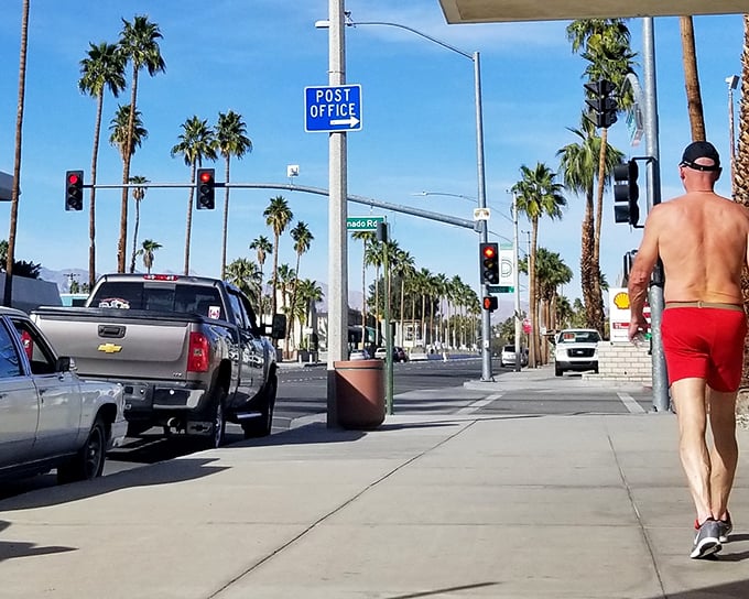 Palm-lined streets and mountain views &ndash; Palm Springs delivers postcard-perfect scenes that make everyday errands feel like vacation moments.