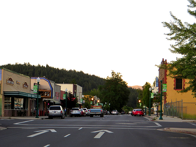 Quincy's main street - where the mountains meet small-town charm and nobody's in a hurry to get anywhere.