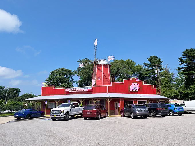 The iconic red windmill atop Red Hot & Blue stands like a barbecue lighthouse, guiding hungry travelers to smoky paradise.