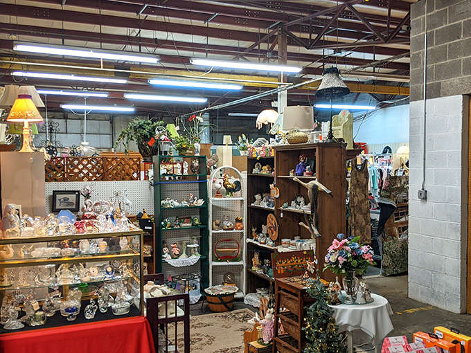 Indoor treasure hunting at its finest - shelves packed with memories waiting for new homes.