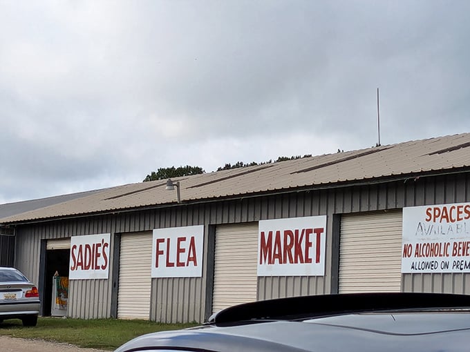 Welcome to bargain hunter's paradise where every building promises treasures waiting to be discovered inside.