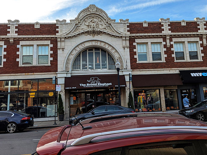 The Brown Elephant's historic fa&ccedil;ade isn't just gorgeous&mdash;it's a portal to thrifting paradise hiding behind that grand entrance!