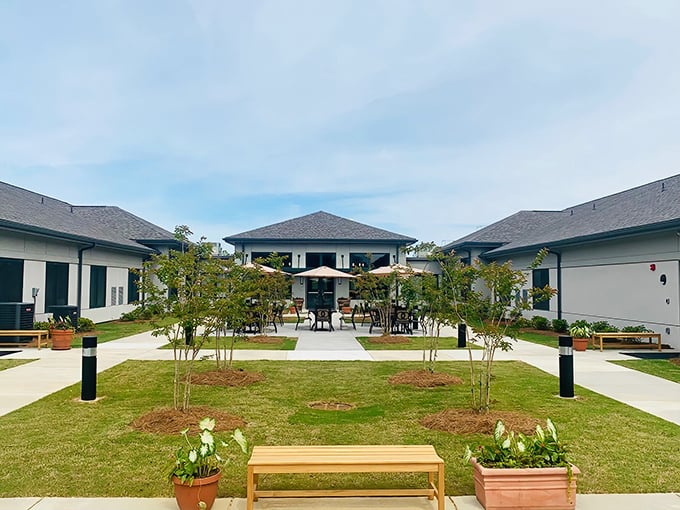 The Orchard's courtyard feels like a secret garden where retirement dreams bloom. Those benches practically beg you to sit with morning coffee.
