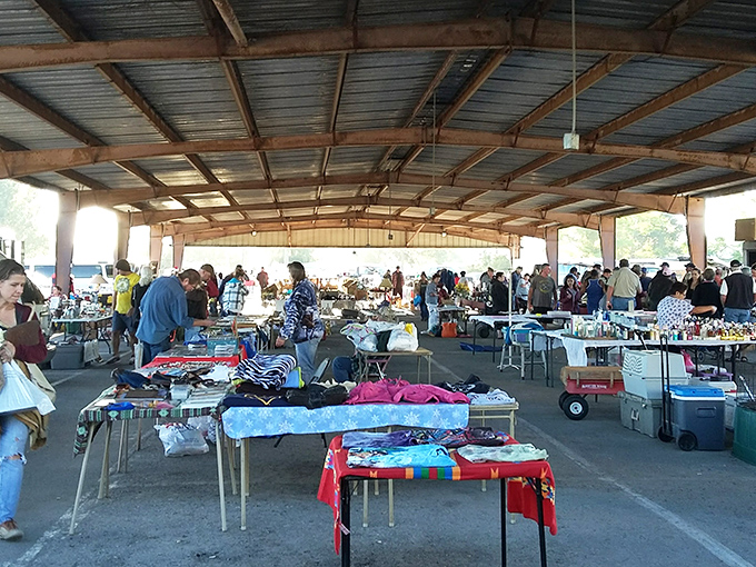 The treasure hunter's paradise unfolds under rustic metal roofing, where tables laden with possibilities await those willing to explore every corner.