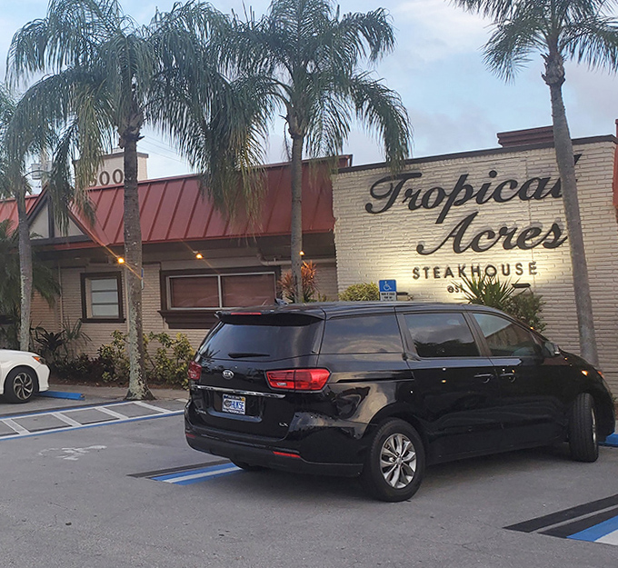 Palm trees standing guard like old friends at Tropical Acres &ndash; where Florida's steakhouse tradition has swayed in the breeze for generations.