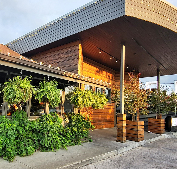 Urban Grub (exterior day): "Wooden wonder! Urban Grub's rustic-meets-modern exterior feels like the fanciest cabin in the woods, complete with lush hanging ferns."