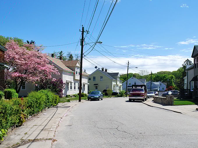 Ah, spring in West Warwick! Where cherry blossoms and power lines dance together like an episode of "This Old House" meets "Bridgerton."