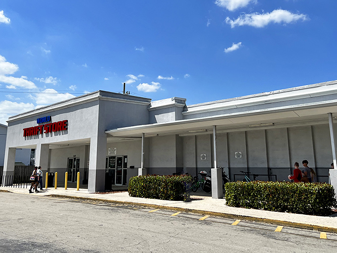 World Thrift's storefront promises adventures in bargain hunting that would make any treasure seeker smile with anticipation.