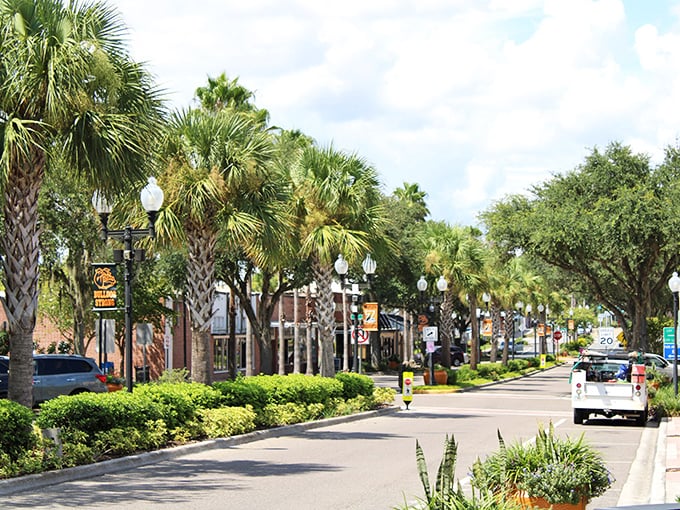 Palm trees stand guard like friendly sentinels over Zephyrhills' charming downtown streets.