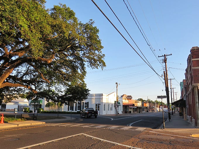 Where time slows down and neighbors still wave - welcome to Abbeville's heart.