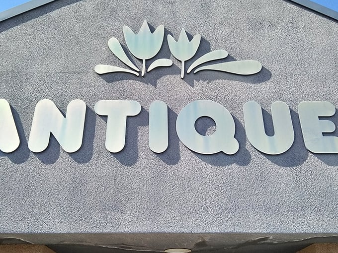 Those tulip designs aren't just decoration&mdash;they're a promise of the blossoming finds within these walls.