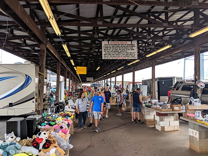 Step into the covered walkways of Anderson Jockey Lot, where every table holds potential treasures and every vendor has stories to share.
