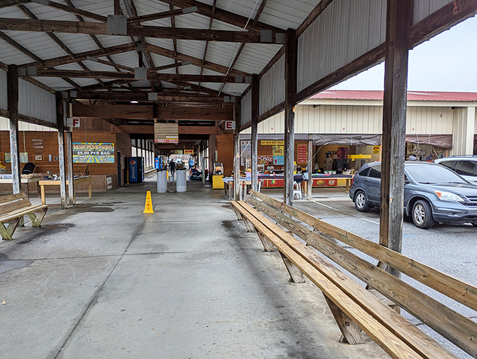 Wooden benches line the walkway, patiently waiting for shoppers who need a break from the thrill of the hunt.