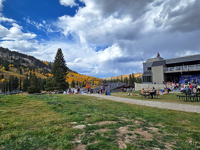 Fall colors frame this mountain market perfectly. Who needs a hiking trail when shopping paths offer such spectacular scenery?