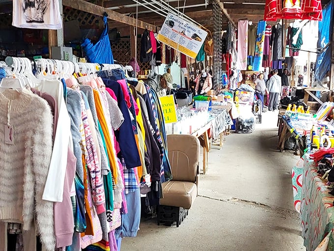 Inside Bill's, every aisle promises discoveries that'll make your wallet and heart equally happy.