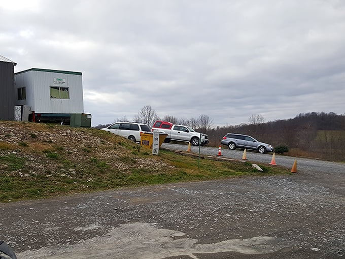 Parking lot view of Blue Horizon - like a poker player with a royal flush, it keeps its treasures hidden inside.