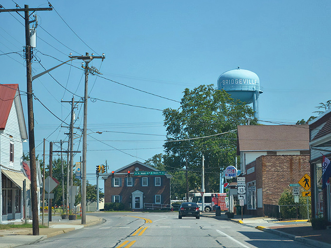 Bridgeville's iconic water tower stands sentinel over this charming town, where retirement dollars stretch further than your morning walk.