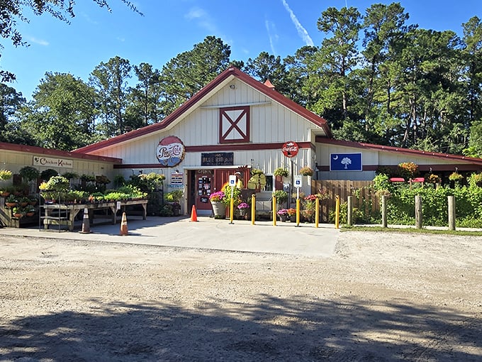 The classic white barn with red trim isn't just pretty – it's your gateway to some of South Carolina's most talked-about fried chicken.