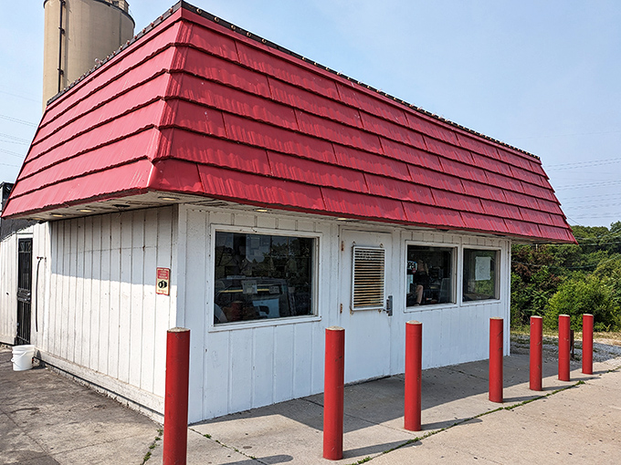 Simple windows, extraordinary fish—sometimes the best things in life come without fancy packaging or pretense.