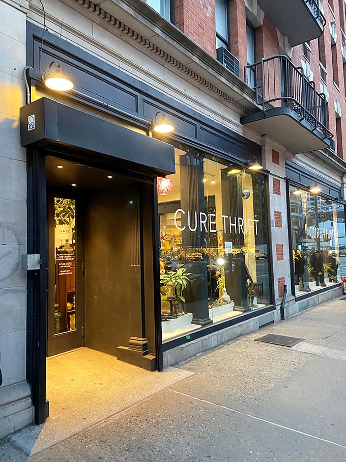 Cure Thrift: A stylish storefront with a welcoming glow, inviting treasure seekers inside for unique finds.