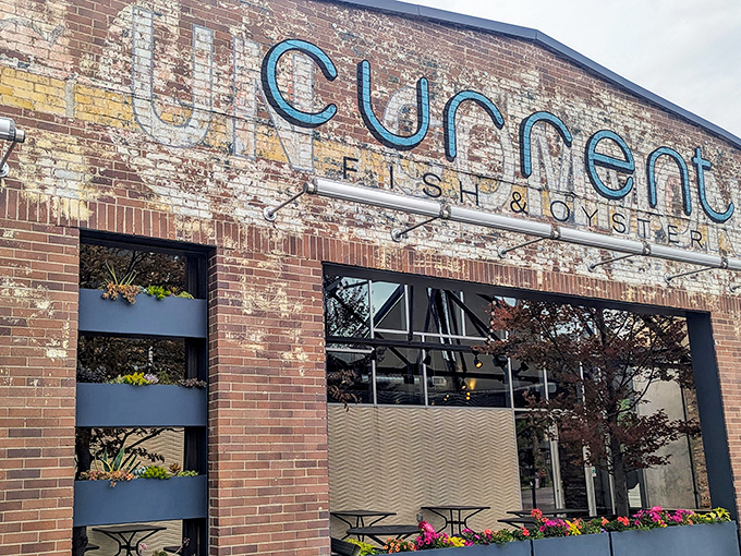 Those windows reveal more than just natural light &ndash; they showcase culinary artistry happening within.