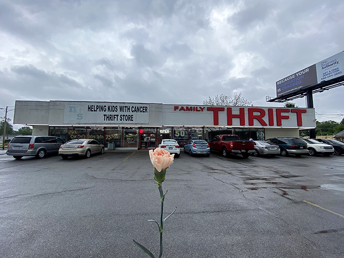 A full parking lot tells the story - this Family Thrift store is where bargain hunters flock for amazing finds.