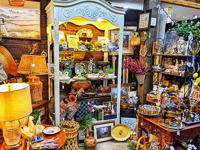 Vintage treasures overflow like a perfectly curated garage sale that actually makes sense.