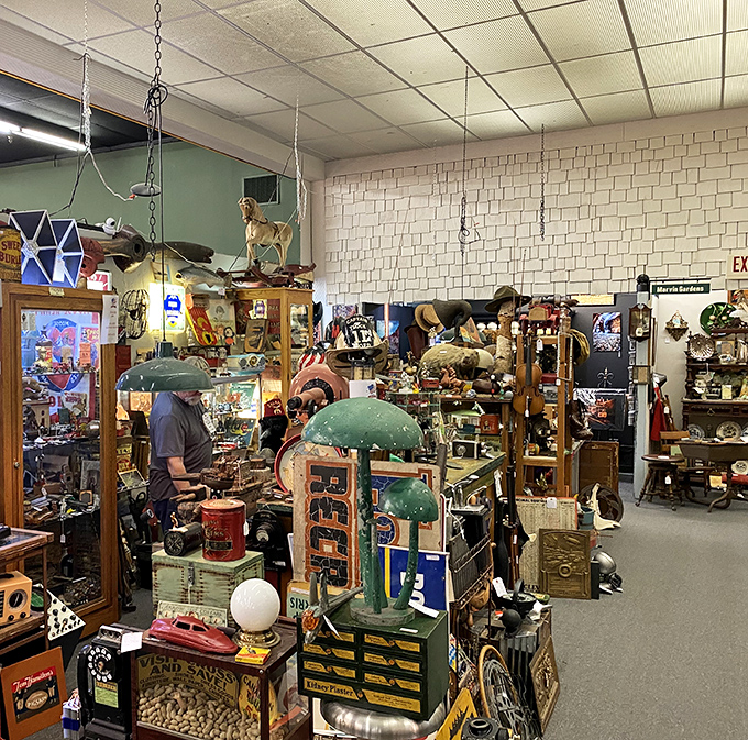 Inside Forestwood's magical maze, every corner reveals another chapter in the great American story of beautiful forgotten things.