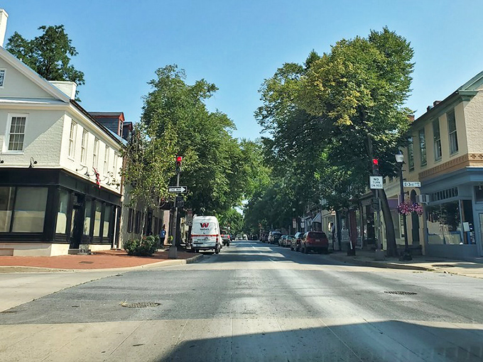 Tree-lined avenues in Frederick create the perfect backdrop for retirement strolls that cost absolutely nothing but memories.