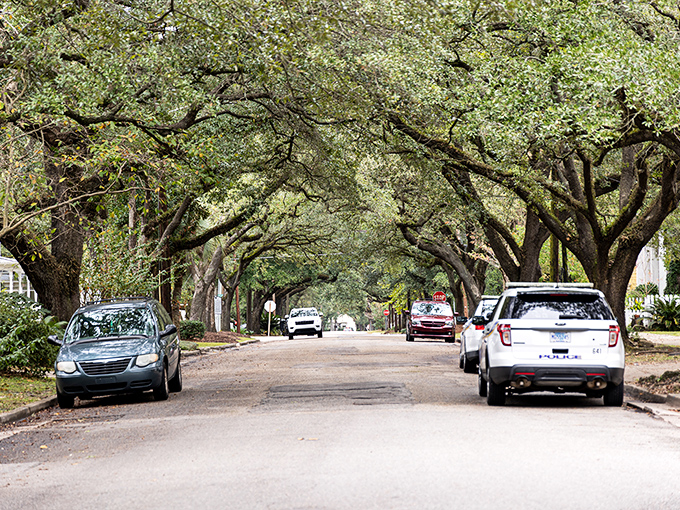 These oak-canopied streets in Georgetown offer nature's air conditioning. Southern charm doesn't get more picture-perfect than this leafy tunnel.