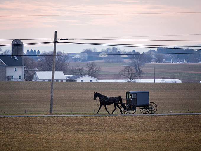 Fields stretching to the horizon as a lone buggy reminds us some journeys are best taken slowly.