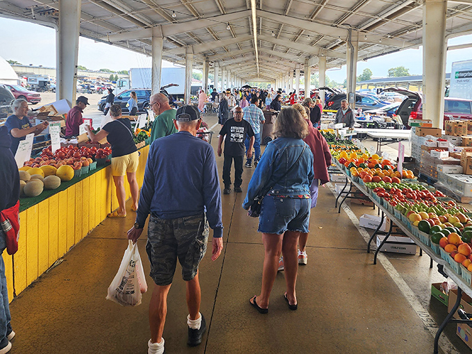 Under these covered pavilions, fresh produce and friendly vendors create the perfect weekend shopping adventure.