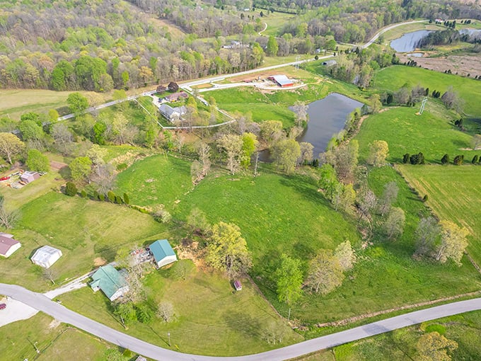 Kentucky's emerald quilt! From above, Hawesville's patchwork of fields, winding roads, and scattered homesteads creates a verdant tapestry that would make even Dorothy think twice about leaving Oz.