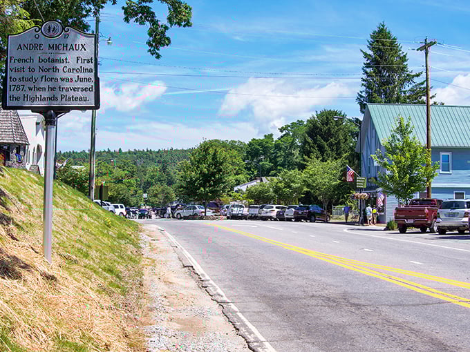 History meets scenery at the Andre Michaux marker in Highlands, where French botanical exploration and small-town charm create the perfect blend.