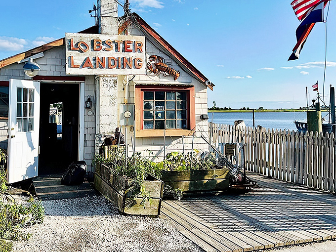 The weathered charm of Lobster Landing tells a story of countless lobster rolls served. This little spot has more character than most five-star restaurants.