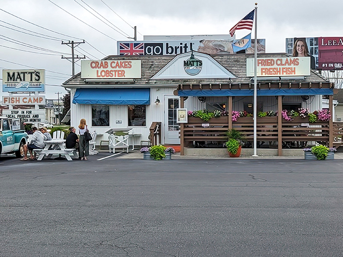 Sometimes the best seafood joints look like they sailed straight out of a coastal postcard dream.
