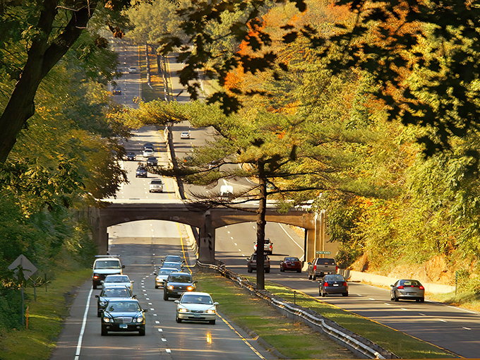 Golden hour magic on the Merritt! This stone bridge has witnessed more leaf-peeping selfies than a pumpkin spice latte Instagram account.