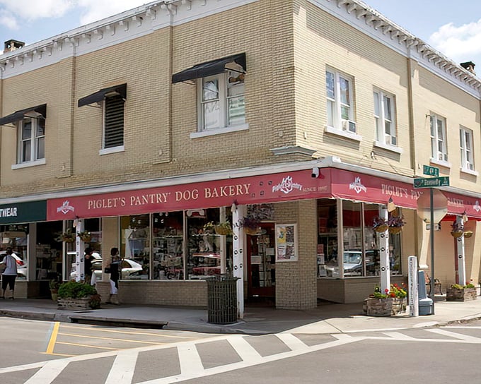 Piglet's Pantry Dog Bakery &ndash; where Fido gets treated better than most humans. Those doggy treats look good enough for people to eat!