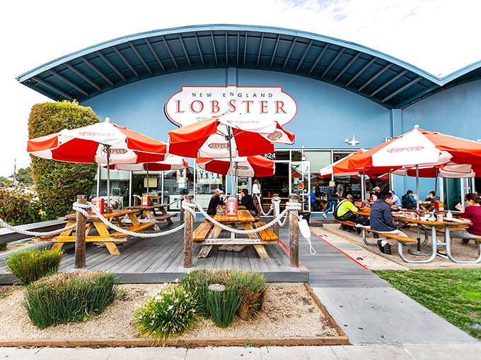 Sometimes the best seafood hideaways look like architectural afterthoughts, but taste like pure New England magic.