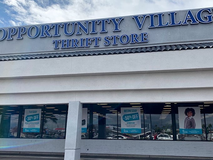 Those colorful discount signs aren't lying. Tuesday's 30% off feels like winning a small lottery without buying a ticket.