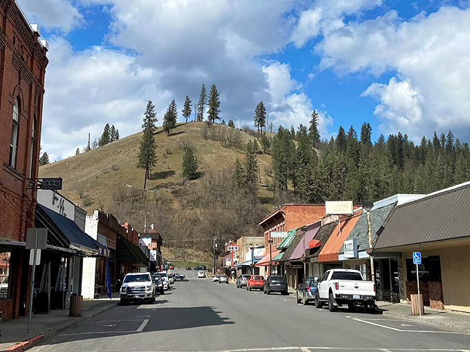 Orofino's historic buildings stand proudly against rolling hills, offering small-town charm with big-time natural beauty.