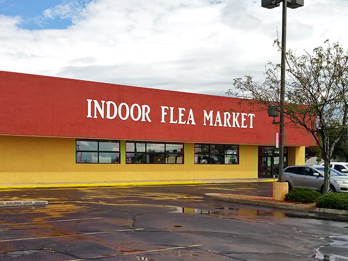 Sometimes the best adventures begin in the most unassuming parking lots on rainy afternoons.