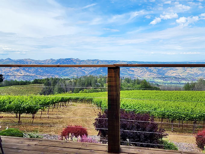That view! Sipping wine on this deck feels like floating above the valley. Napa's version of a first-class window seat.