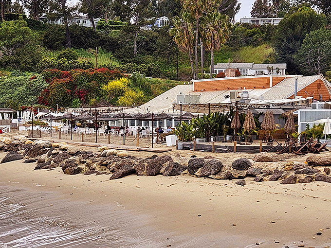 This Malibu gem sits so close to the waves that your seafood practically swims to your plate fresh from the Pacific.