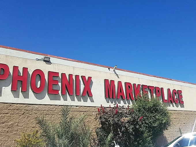Desert sun kisses the PHOENIX MARKETPLACE sign where palm fronds dance in the breeze. Like finding Elvis memorabilia at a yard sale&mdash;unexpected and absolutely perfect!