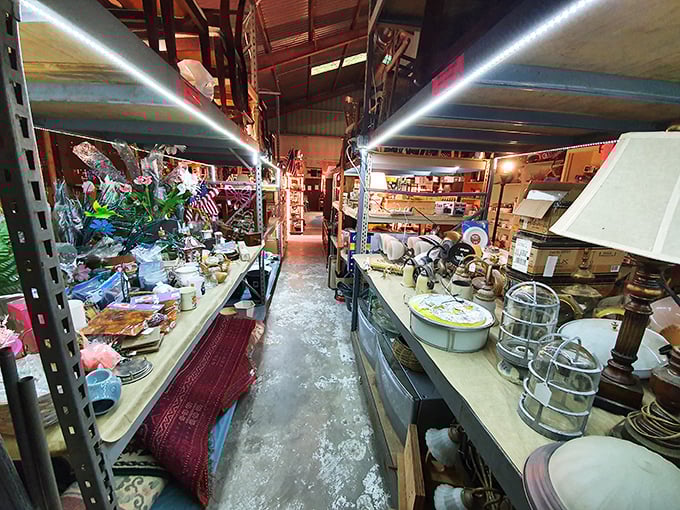 Inside these organized aisles, every shelf whispers stories of forgotten treasures and unexpected finds.